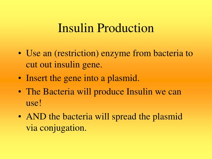 PPT - Bacteria PowerPoint Presentation - ID:3803943