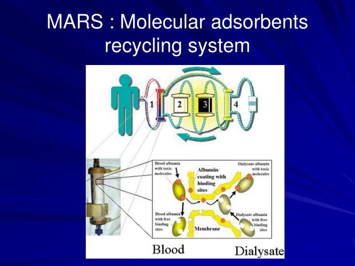 PPT - Acute liver failure Tutorial PowerPoint Presentation - ID:3804409