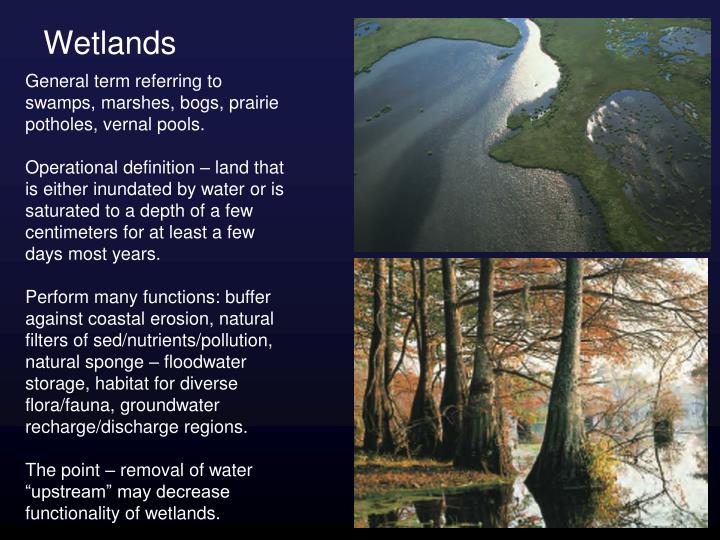 PPT - Water Use – Instream vs. Offstream vs. Consumptive PowerPoint ...