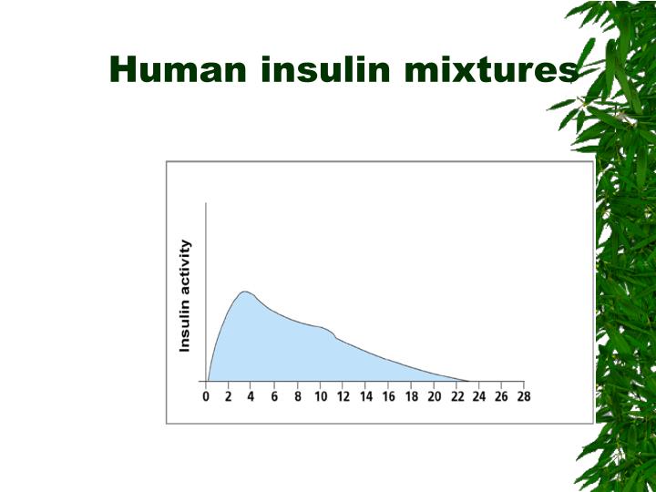 PPT - Pathophysiology of Diabetes PowerPoint Presentation - ID:3804944