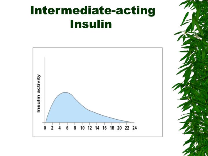 PPT - Pathophysiology of Diabetes PowerPoint Presentation - ID:3804944