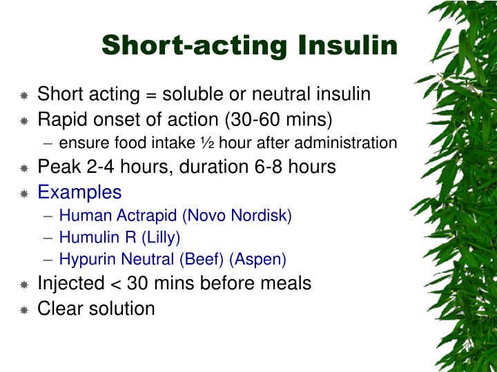 PPT - Pathophysiology of Diabetes PowerPoint Presentation - ID:3804944