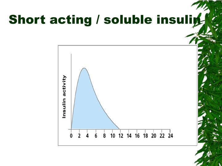 PPT - Pathophysiology of Diabetes PowerPoint Presentation - ID:3804944