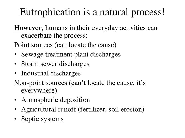 PPT - ….. EUTROPHICATION PowerPoint Presentation - ID:3805580