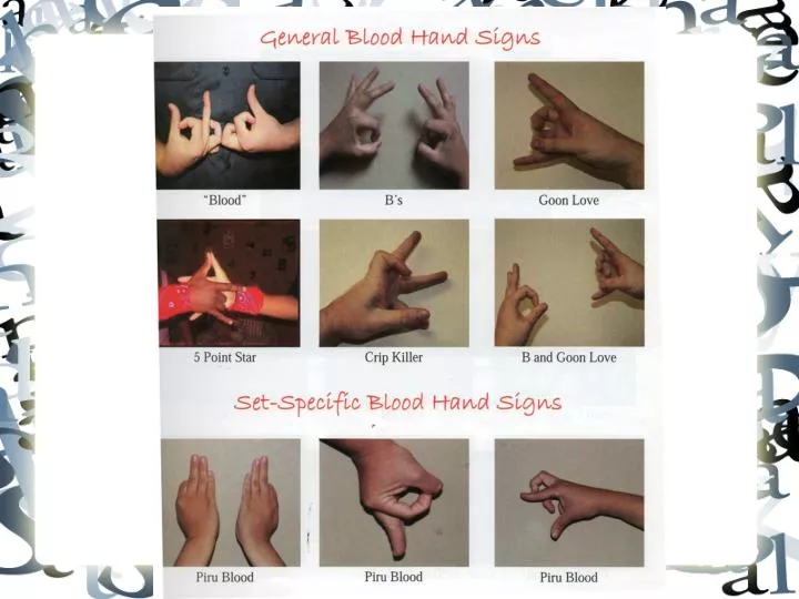 PPT - Pages from a “Gang Knowledge Book” PowerPoint Presentation, free ...