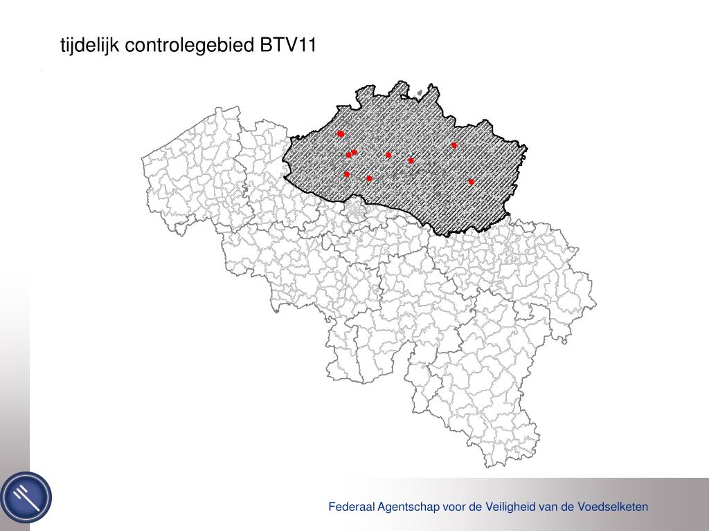 PPT - STAND VAN ZAKEN IN VERBAND MET BTV PowerPoint Presentation, free ...