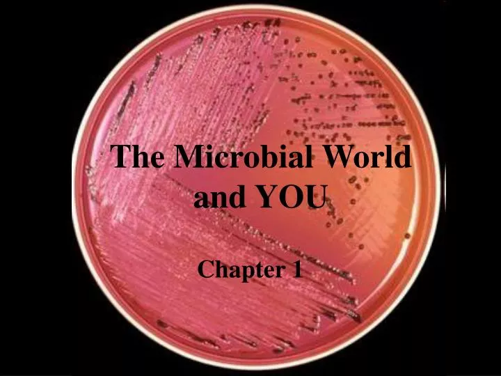 Ppt The Microbial World And You Powerpoint Presentation Free
