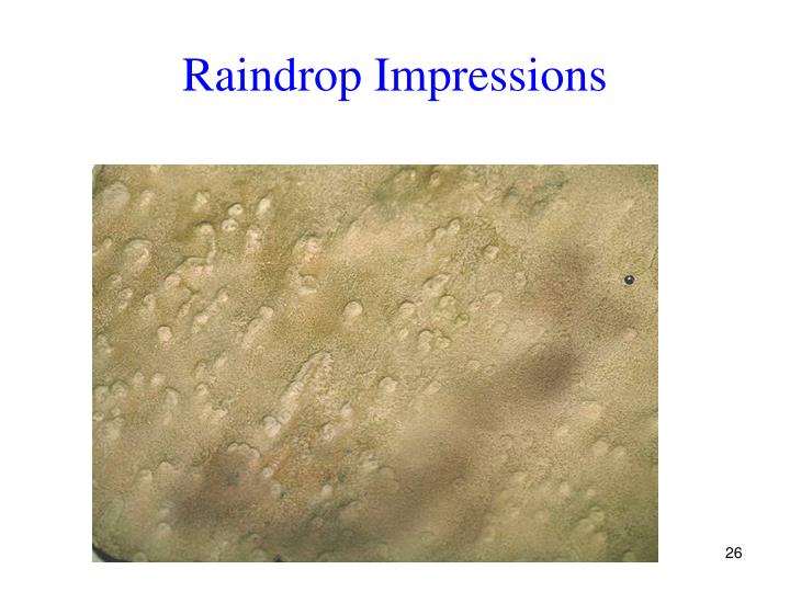 PPT - Sedimentation and Sedimentary Rocks PowerPoint Presentation - ID:3806922