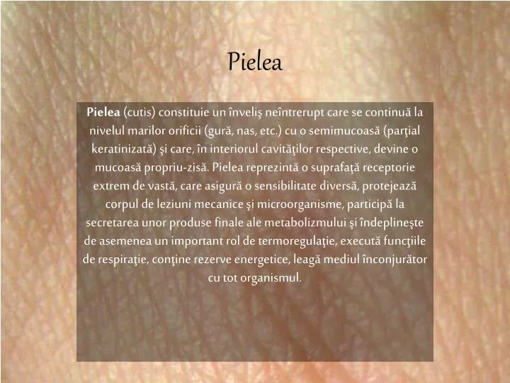 PPT - Pielea PowerPoint Presentation, free download - ID:3807001