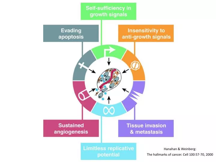 PPT - Hanahan & Weinberg: The hallmarks of cancer. Cell 100:57-70, 2000 ...