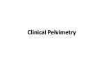 PPT - OBSTETRICS OSCE REVIEWER PowerPoint Presentation - ID:3807975