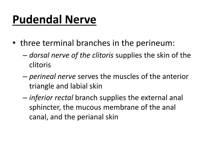 PPT - OBSTETRICS OSCE REVIEWER PowerPoint Presentation - ID:3807975