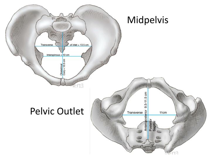 PPT - OBSTETRICS OSCE REVIEWER PowerPoint Presentation - ID:3807975