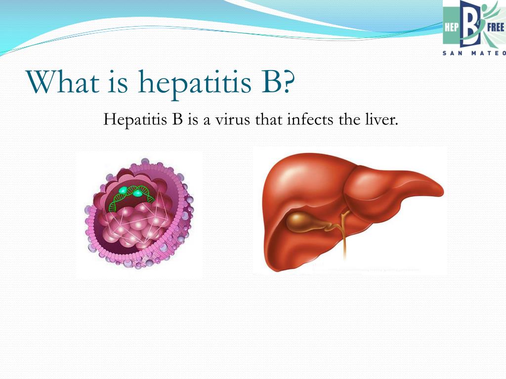 PPT - Hepatitis B in the Asian & Pacific Islander Community : What You ...