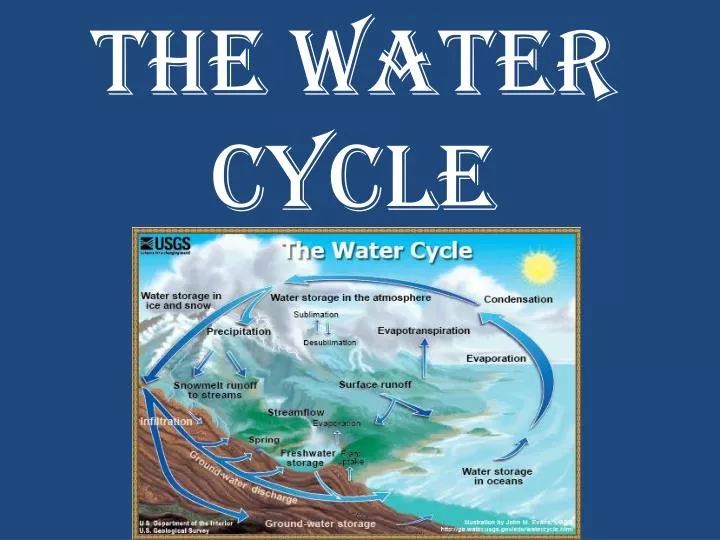 PPT - The Water Cycle PowerPoint Presentation, free download - ID:3809539