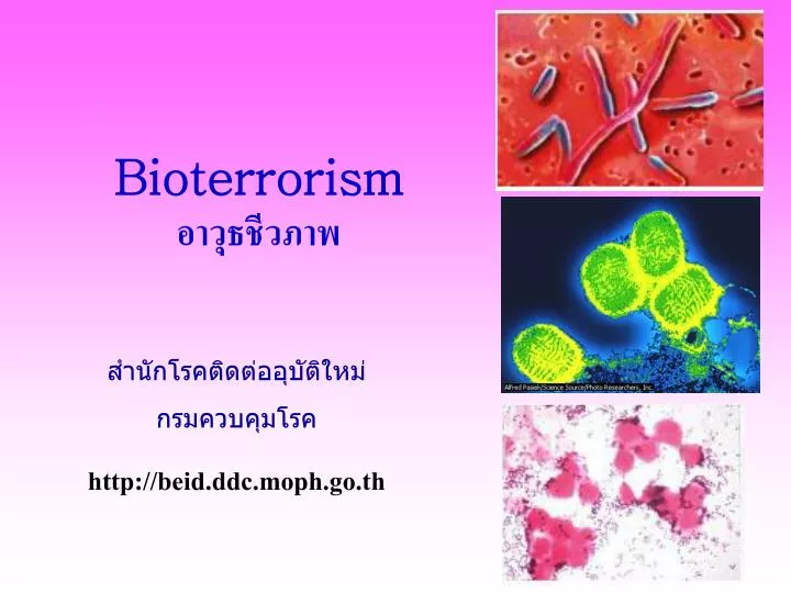 PPT - Bioterrorism อาวุธชีวภาพ PowerPoint Presentation - ID:3810198