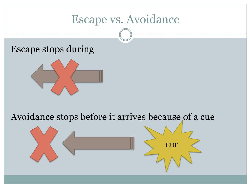 PPT - Reinforcement, Punishment, Avoidance Learning, and Escape ... PPT - Reinforcement, Punishment, Avoidance Learning, and Escape ...