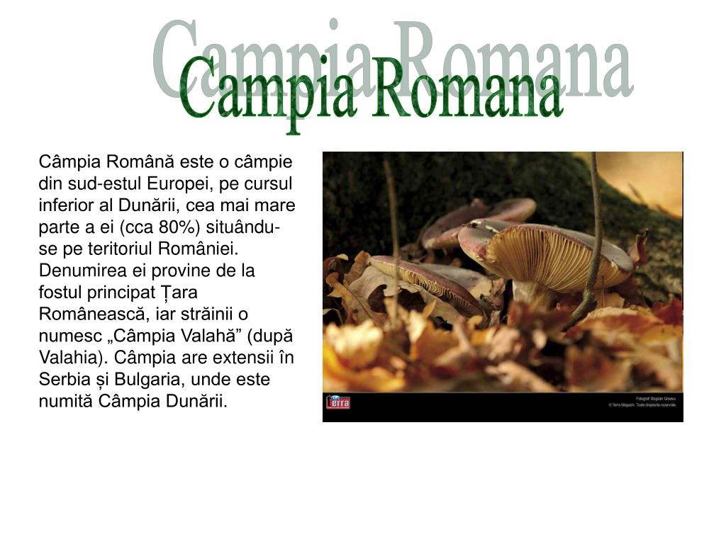 PPT - Cartea verde a campiilor din Romania PowerPoint Presentation ...