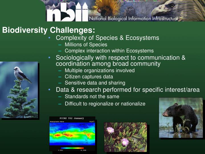 PPT - National Biological Information Infrastructure (NBII ...