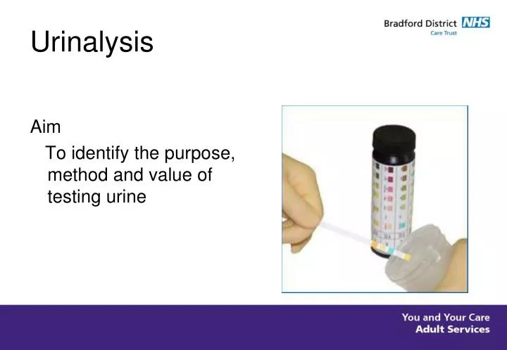 PPT - Urinalysis PowerPoint Presentation, free download - ID:3812917 PPT - Urinalysis PowerPoint Presentation, free download - ID:3812917