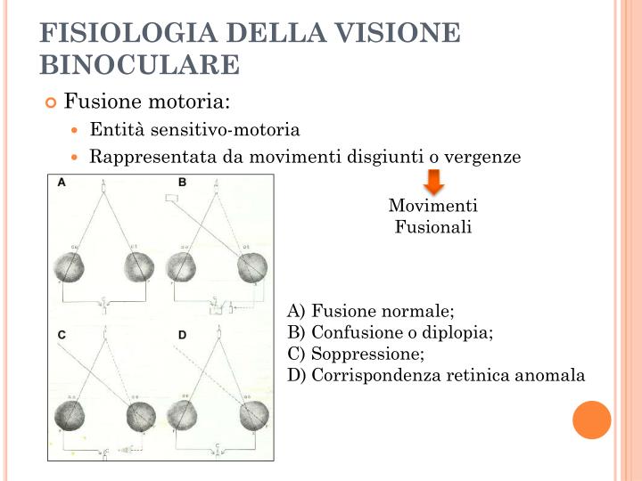 PPT - MOTILITÀ OCULARE E VISIONE BINOCULARE PowerPoint Presentation ...