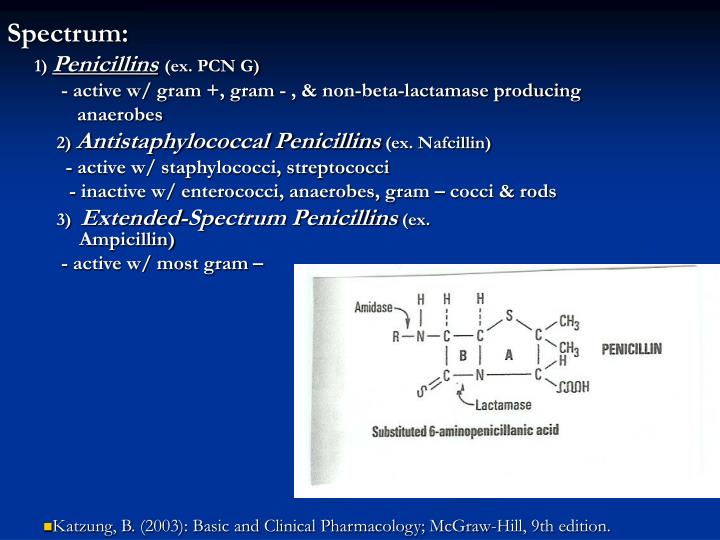 PPT - Penicillin and Cephalosprin: Beta-Lactam Antibiotics and Other ...