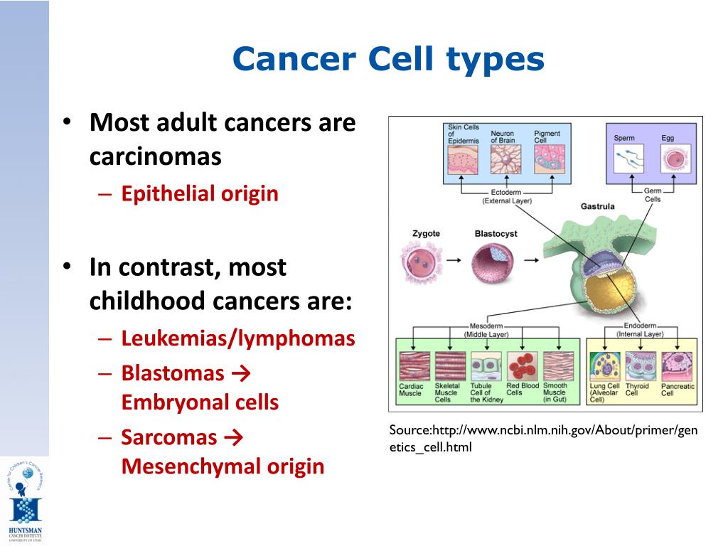 PPT - Common Biological Basis of Childhood Cancer: Need to focus on all ...