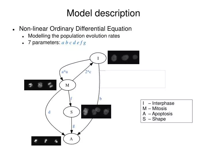 PPT - Model description PowerPoint Presentation, free download - ID:3814223