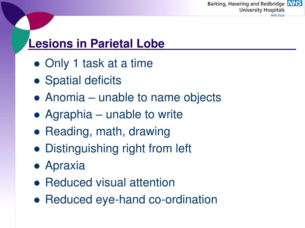 PPT - Motor and sensory deficits post stroke Judith Croxon-Stroud ...