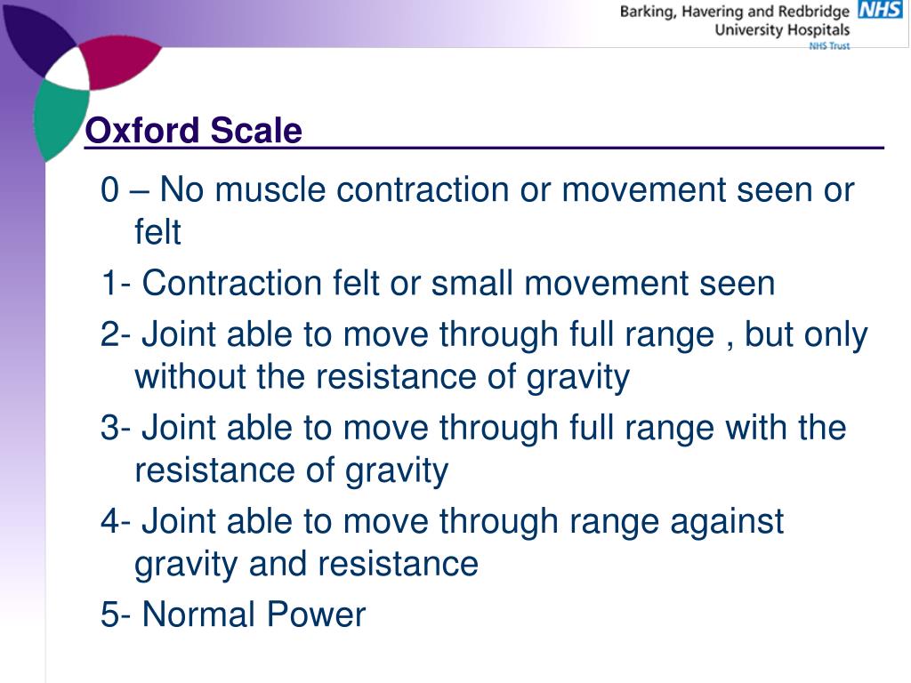 PPT - Motor and sensory deficits post stroke Judith Croxon-Stroud ... PPT - Motor and sensory deficits post stroke Judith Croxon-Stroud ...
