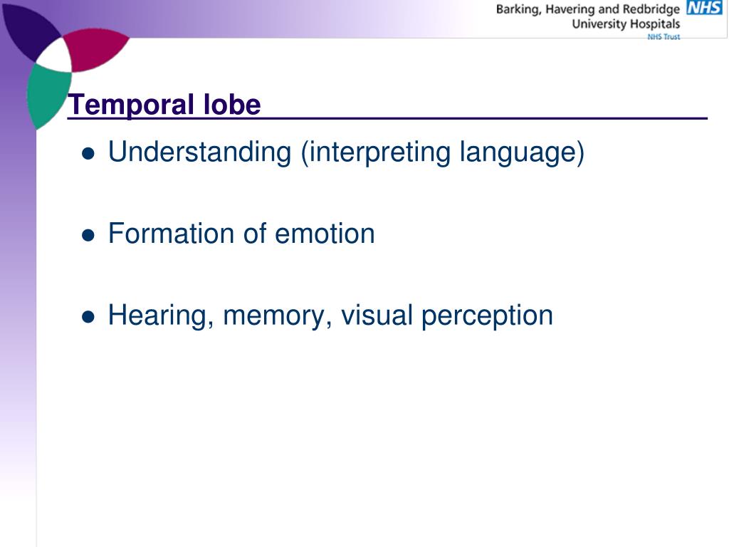 PPT - Motor and sensory deficits post stroke Judith Croxon-Stroud ...