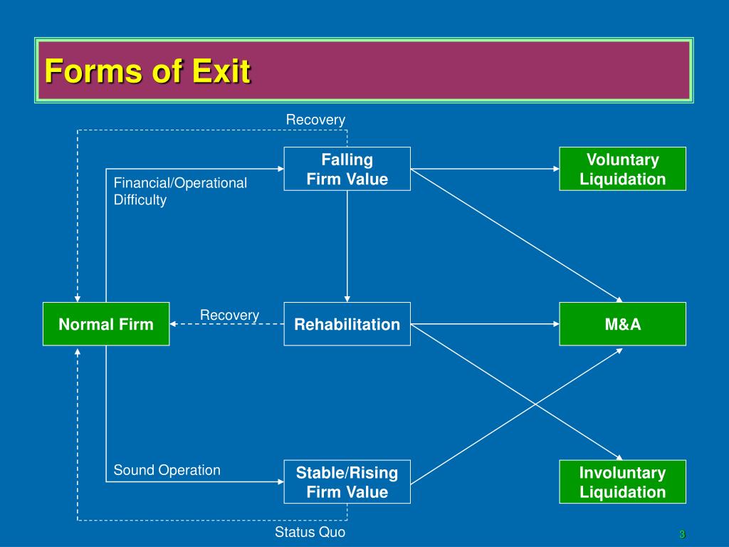 PPT - W. Jean Kwon , Ph.D., CPCU St. John’s University, New York Hunsoo ...