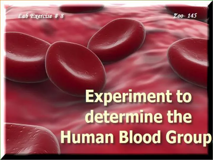 PPT - Lab Exercise # 8 PowerPoint Presentation, free download - ID:3815851