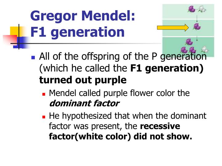 PPT - Who is Gregor Mendel? PowerPoint Presentation - ID:3815926