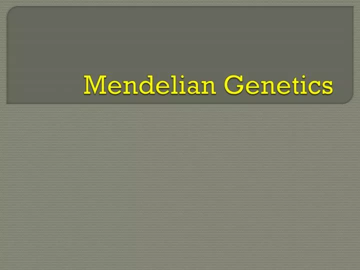 PPT - Mendelian Genetics PowerPoint Presentation, free download - ID ...