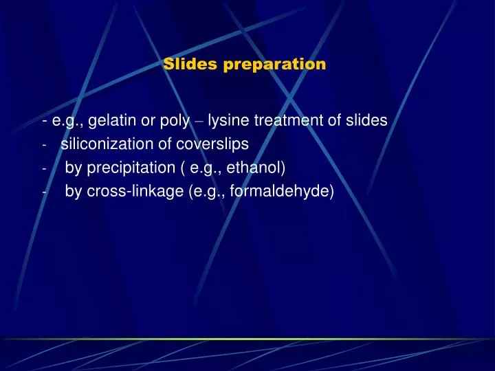 PPT - Slides preparation PowerPoint Presentation, free download - ID ...