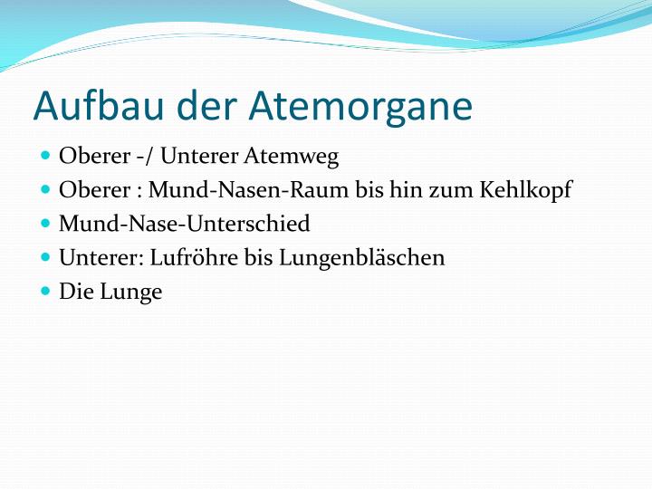 PPT - Atmung PowerPoint Presentation - ID:3817626