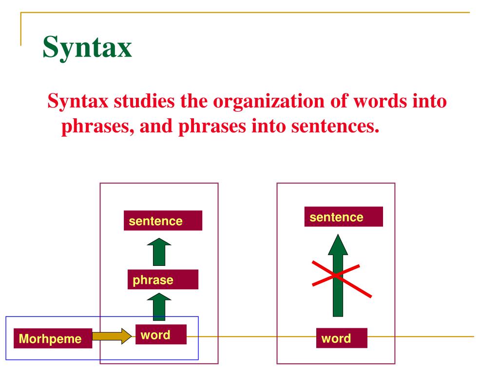 PPT Introduction To Linguistics Chapter 4 Syntax PowerPoint 