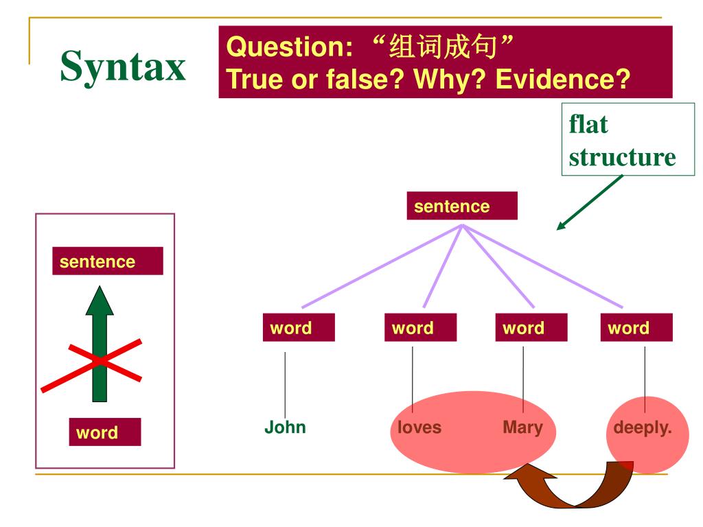 PPT Introduction To Linguistics Chapter 4 Syntax PowerPoint 