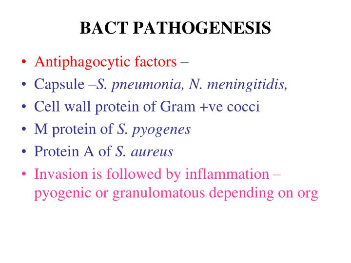PPT - BACTERIAL PATHOGENESIS PowerPoint Presentation - ID:3818752