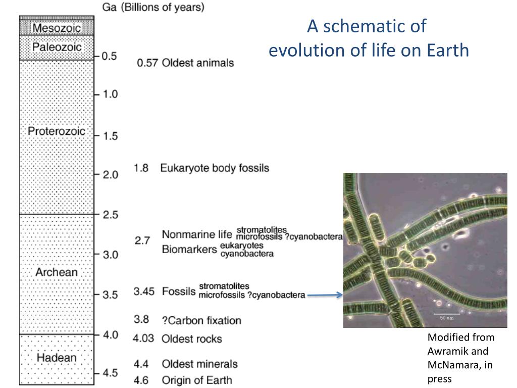 PPT - Early Earth and the Origins of Life Why do we care? How old do ...