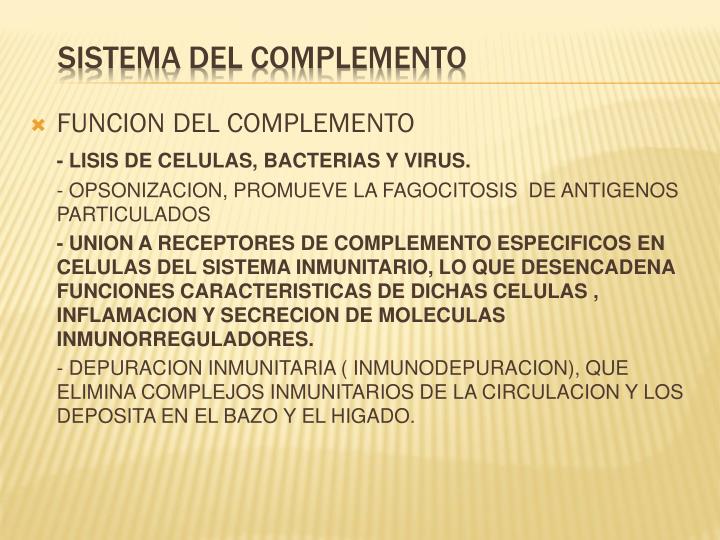 PPT - SISTEMA DEL COMPLEMENTO PowerPoint Presentation - ID:3818953
