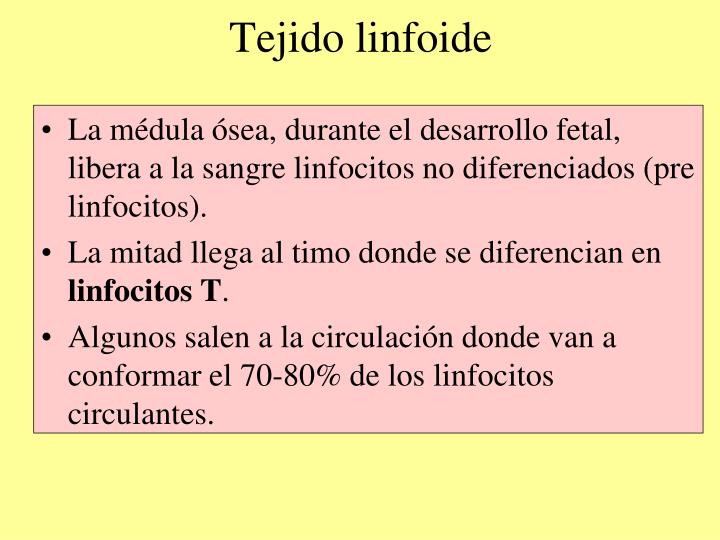 PPT - Órganos y tejidos linfoides y Células del Sistema inmune ...