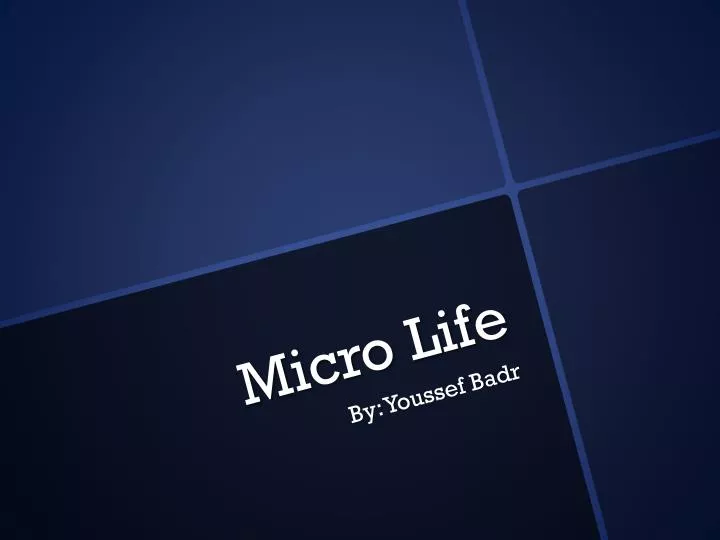 PPT - Micro Life PowerPoint Presentation, free download - ID:3819659