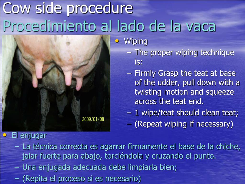 PPT - Boxler Dairy Lechería de Boxler PowerPoint Presentation, free ...