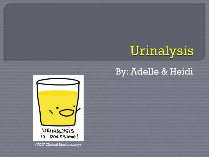 PPT - Urinalysis PowerPoint Presentation, free download - ID:3820651