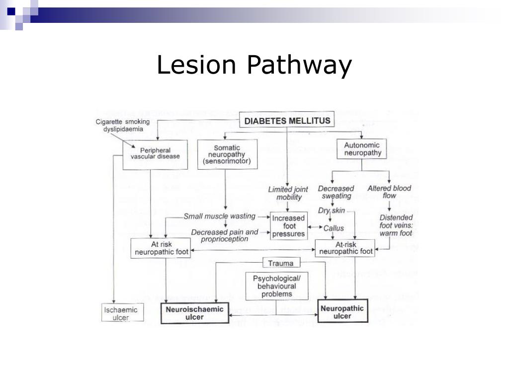 PPT - Orthotic Treatment of The Neuropathic Diabetic Foot PowerPoint ...