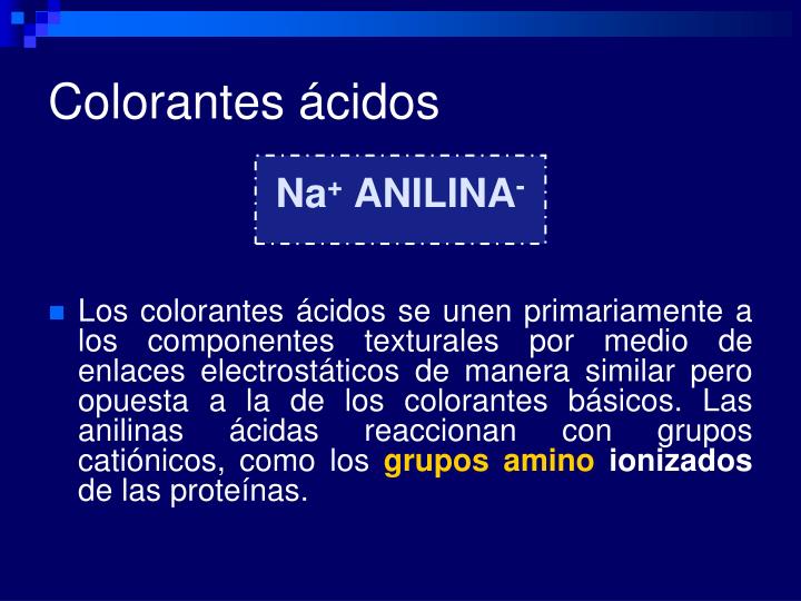 PPT - Tinción Histológica PowerPoint Presentation - ID:3822225