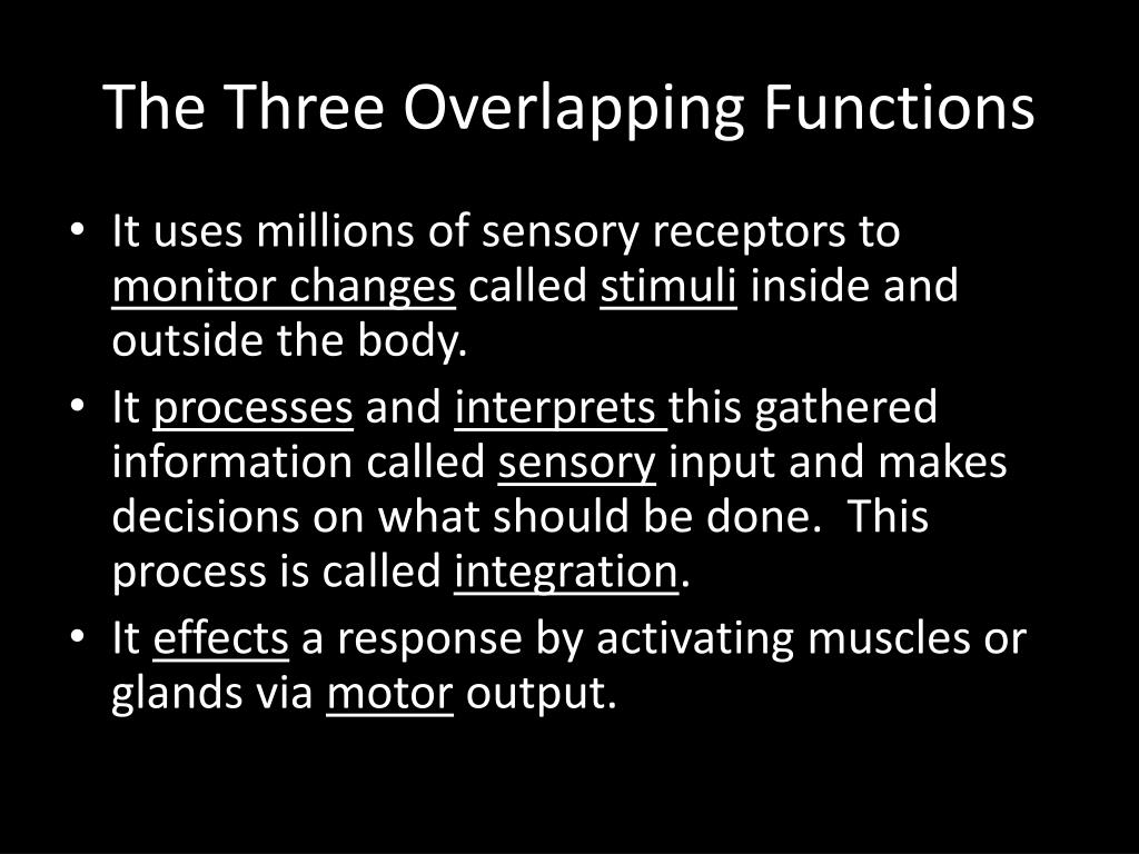 PPT - The Nervous System: Functions, Structure & Cells PowerPoint ...