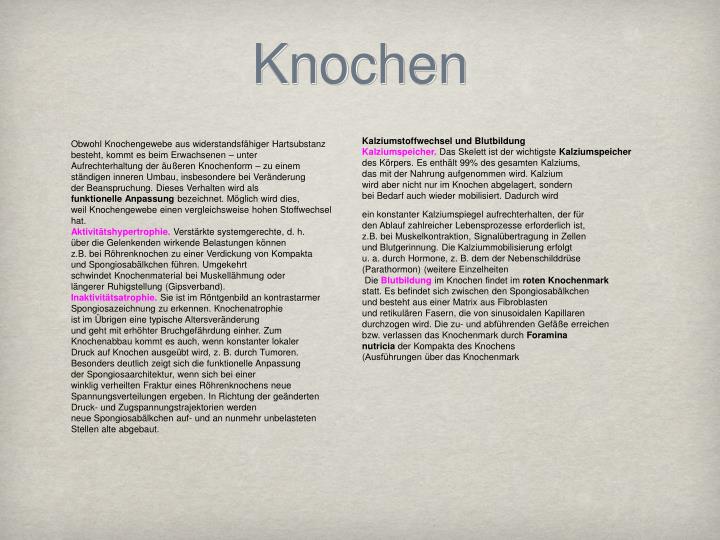 PPT - Anatomie und Histologie PowerPoint Presentation - ID:3823612